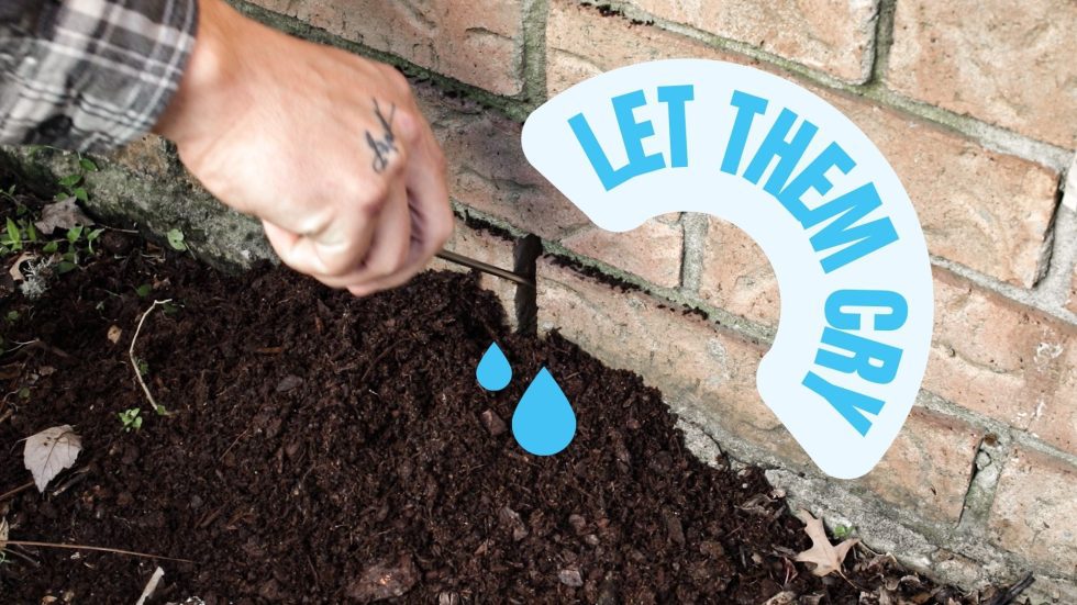 Why You Should Clear Out Weep Holes – and How You Can Do It Yourself ...
