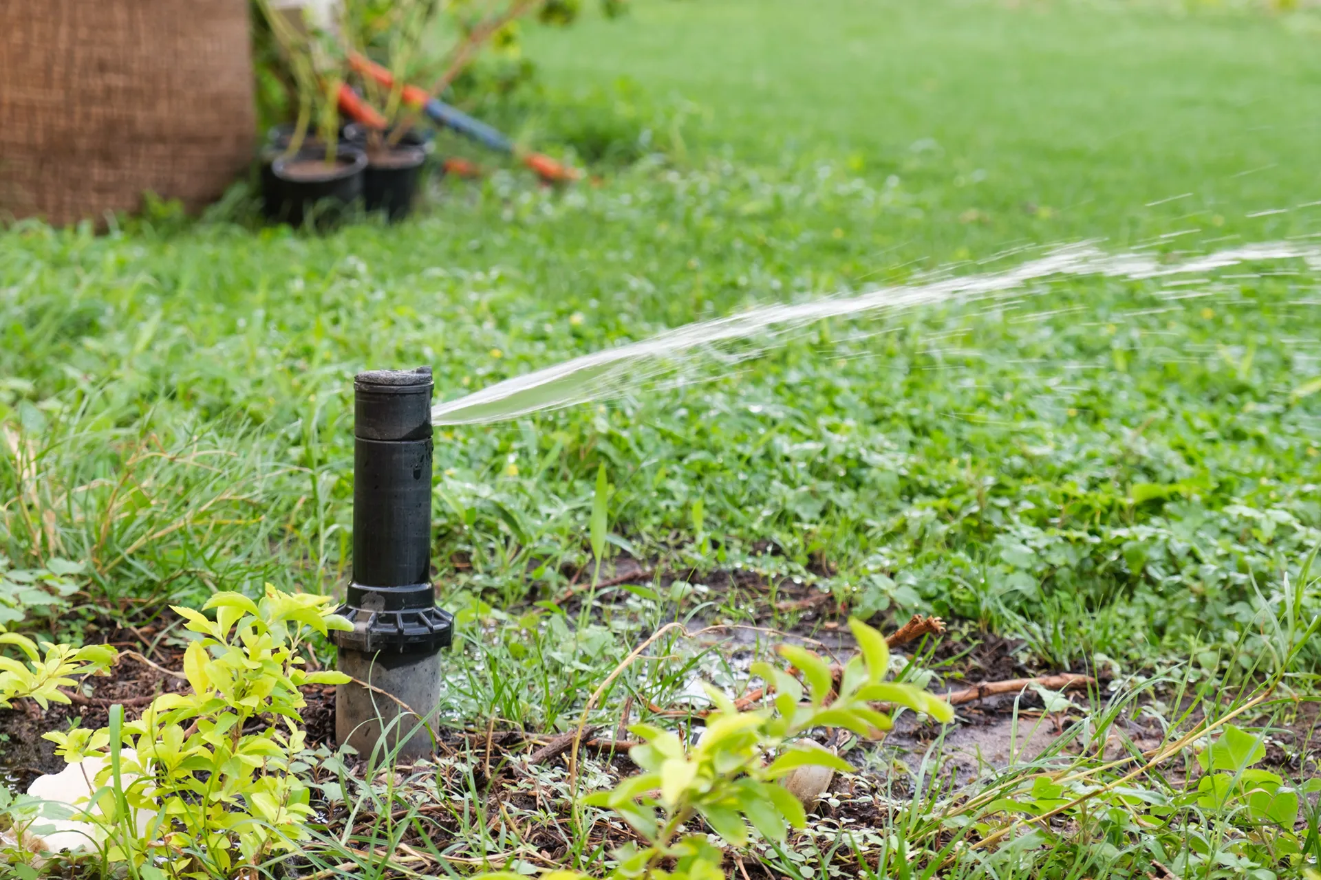 Top Signs to Watch for When Checking a Sprinkler System: What You Need ...