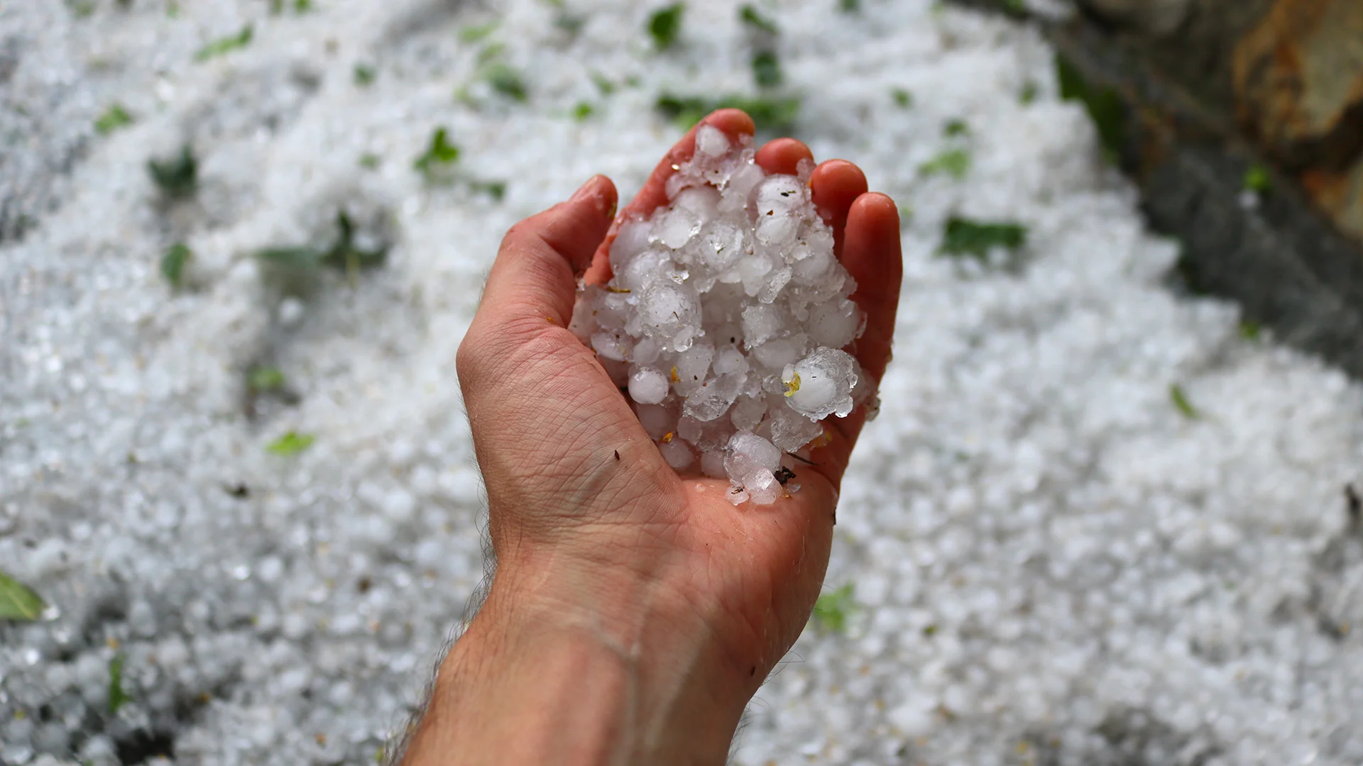 Why Roof Hail Damage Inspection After Hail Storm Is Essential